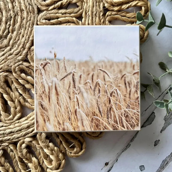 Montgomery Block Signs – Creative Goods & Co.